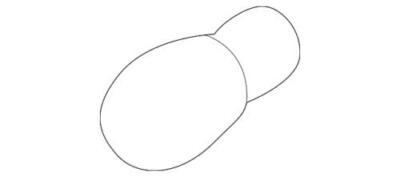 Genuine Subaru Bulb 84920FC050 | eBay