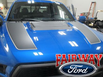 19 thru 20 F-150 RAPTOR OEM Genuine Ford Parts Hood Stripes Decals ...