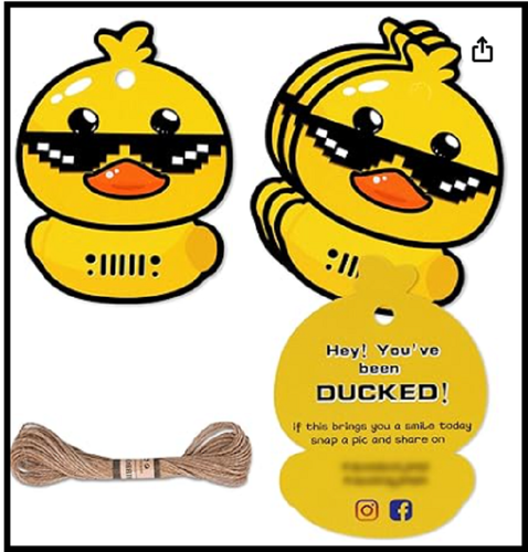 80PCS Youve Been Ducked Cards Duck Tags with Round Hole and Twine 3D ...