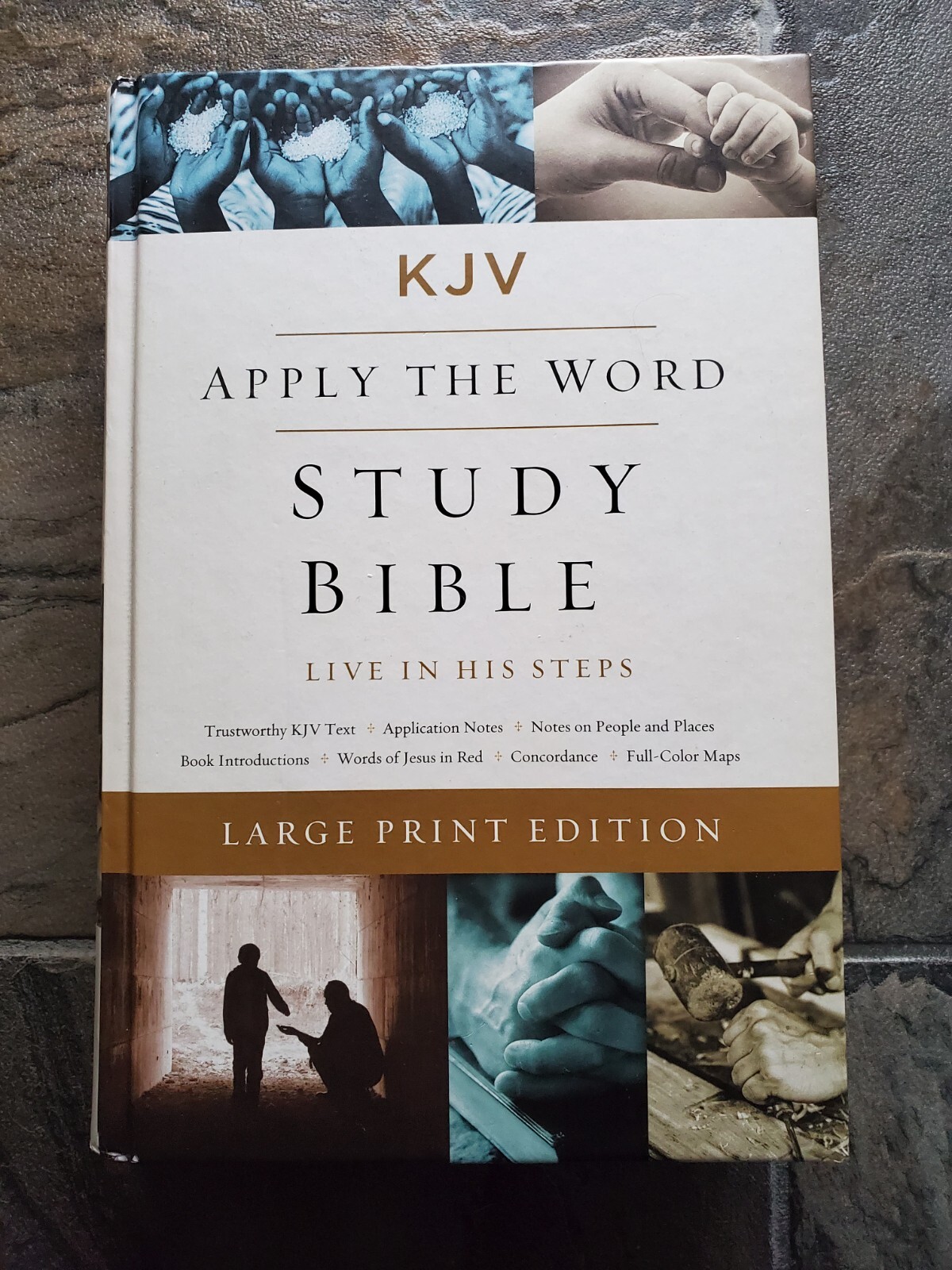 KJV, Apply the Word Study Bible, Large Print, Hardcover, Red Letter ...