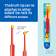 TEPE Interspace Soft Angled Toothbrush – Single End Tuft, 1 Brush, 12 ...