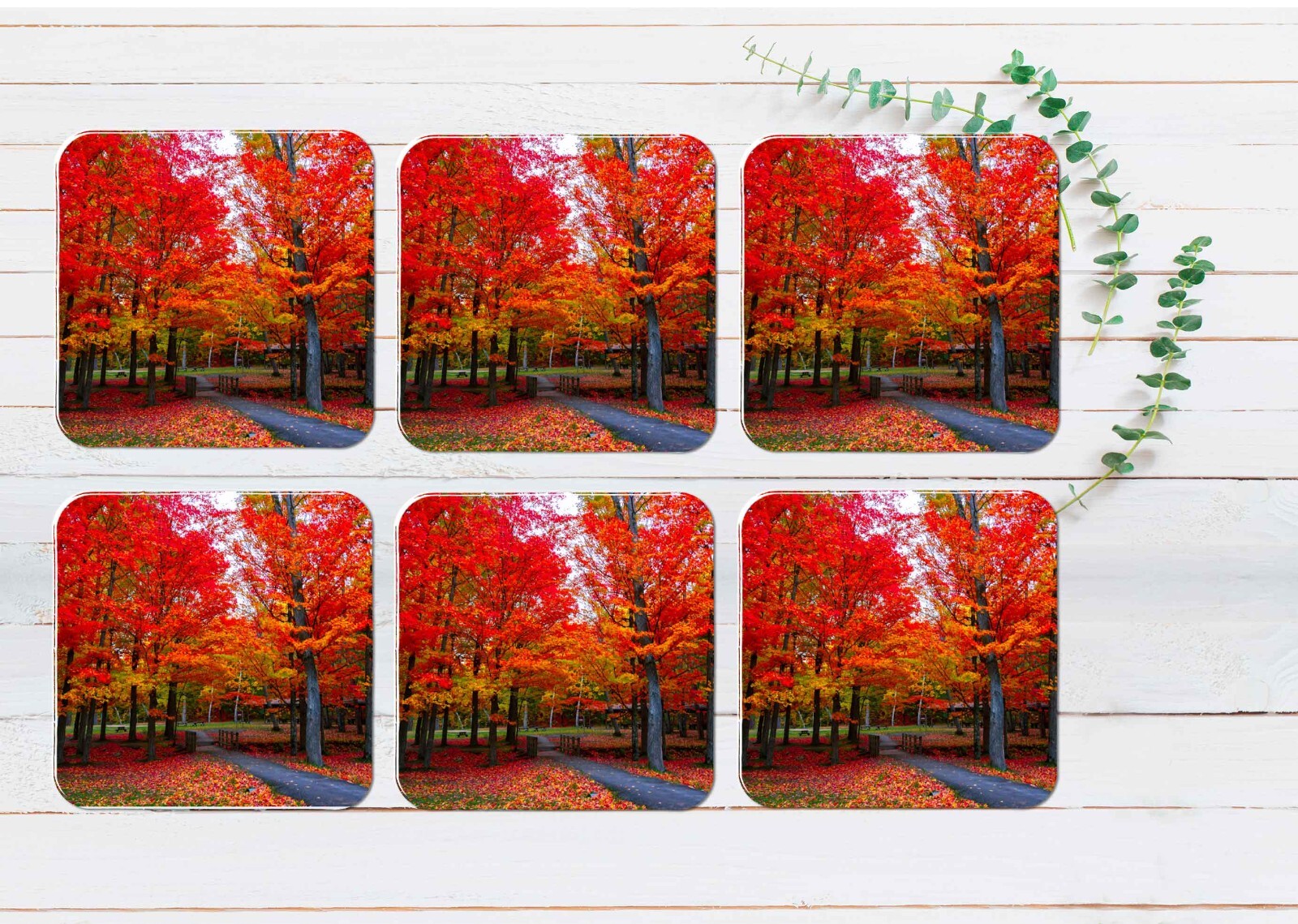 Beautiful Fall Foliage Northeast USA Coasters Wood & Rubber - Set of 6 ...