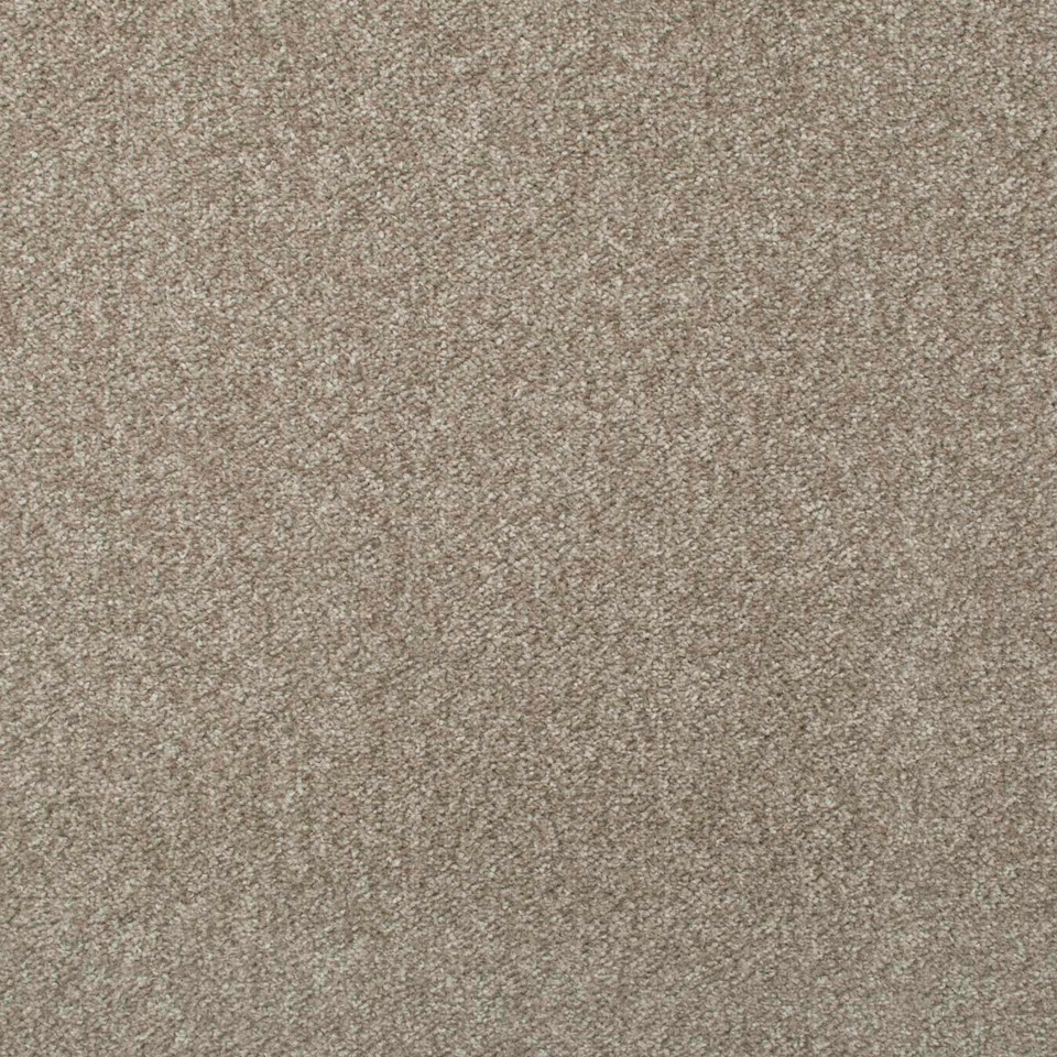 Beige Carpet Cheap Beige Carpets Loop Twist & Saxony Pile Beige Carpets ...