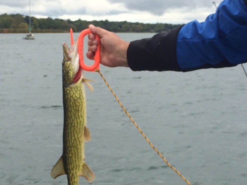 FISHING FISH LIFTER GRIP GRIPPER HOLDER HANDLE HOOK EASY GILL GRABBER ...