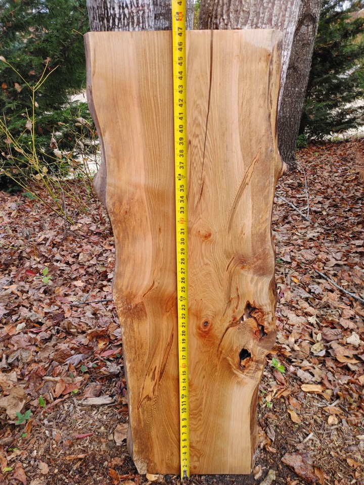 Ambrosia maple slab (Live Edge) Spalted (Thick slab) wormy maple (epoxy ...