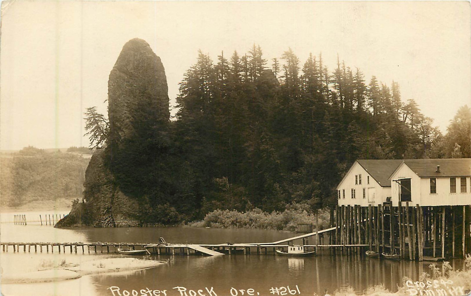 Oregon, OR, Rooster Rock Early Real Photo Postcard | eBay