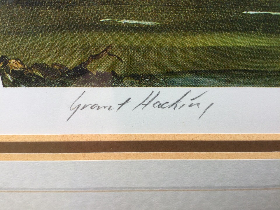 Grant Hacking Elephant Print Limited Edition Framed Animals | eBay