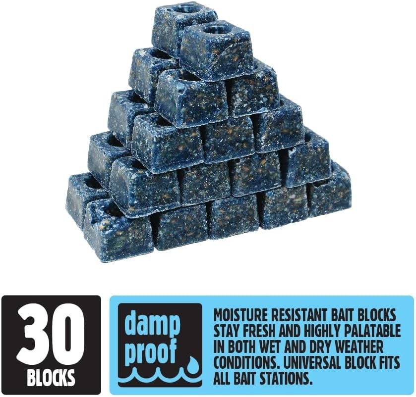 30 Blocks STV Big Cheese All-Weather Poison Bait Rat Mouse Mice Rodent ...