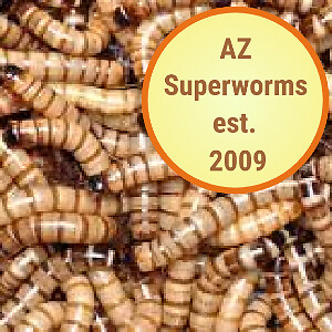 The Superworm Store | eBay Stores