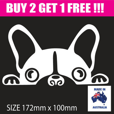 Peeking Pug Dog car sticker , cute popular decal IN WHITE | eBay Australia
