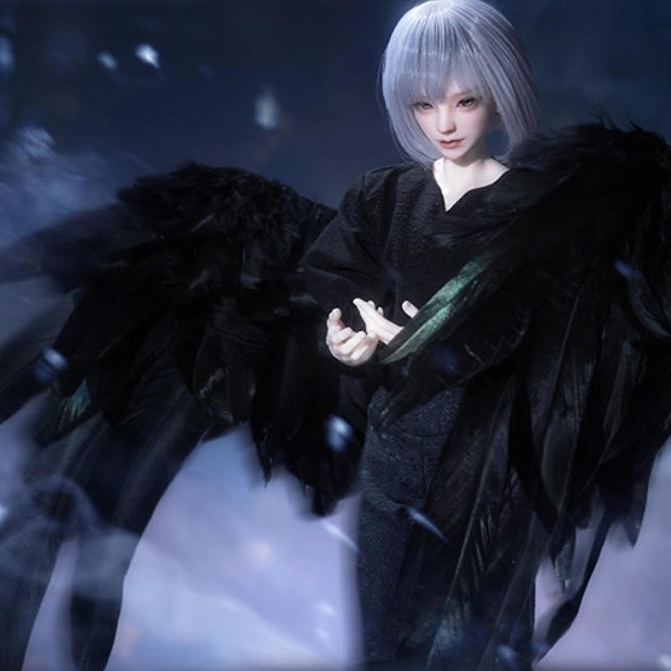 Bare Doll 1/4 BJD Doll Face Makeup Fantasy Black Bird Feather Boy Holin ...