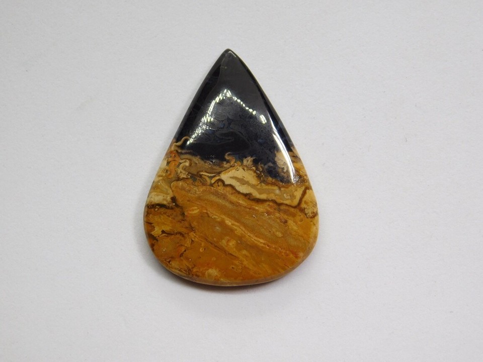 Natural Petrified Palm Root Gemstone Cabochon Loose For Jewelry 33 Cts ...