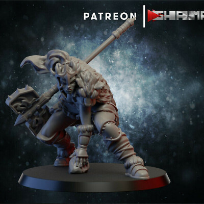 Ghamak-Barbarian female 3 | eBay