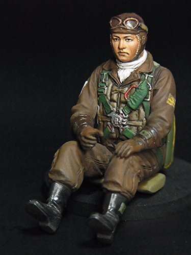 Hasegawa 1/32 IJN Kawanishi N1K2-J Local Area Fighter Shiden Kai Model ...
