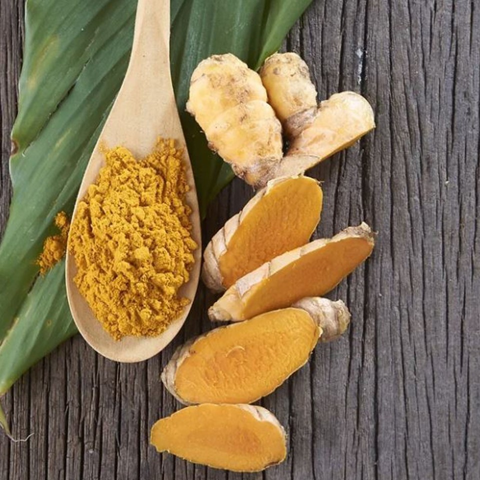 50+ Fresh Sprouted Ceylon Turmeric Live Rhizomes Ready Plant Curcuma ...