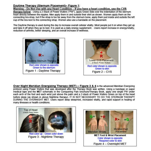 ORGAN THERAPY Health Magnets Liver Kidneys Brain Magnetic Energy ...