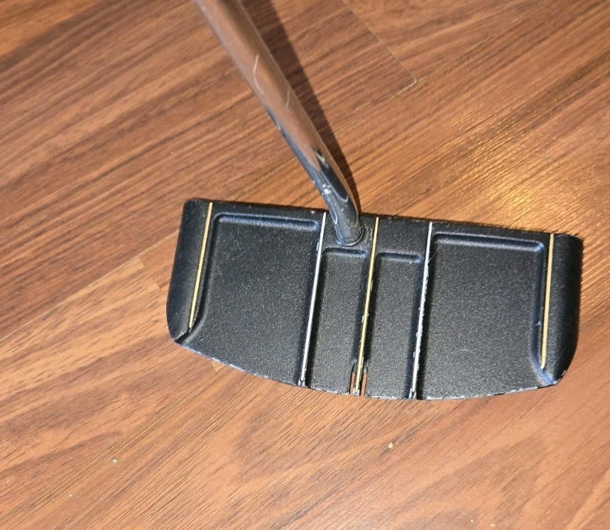 Roger Evans STAND-UP PUTTER GOLF CLUB Self-Balancing Alignment RH Right ...