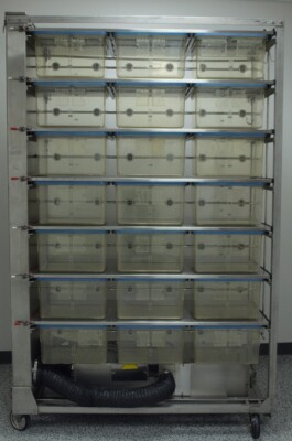 Thoren Stainless Steel Rat Rodent Housing Racks, Auto-Watering and ...