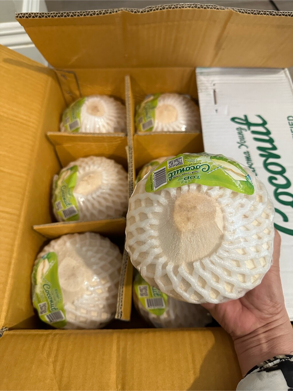 Fresh Young Coconut Box Case of 1-8 Hydrating Electrolyte TROPICAL ...