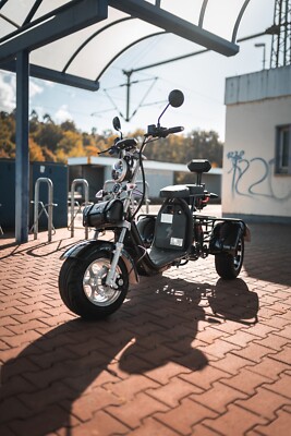 E-Scooter Coco Trike Bike Dreirad 60V 21ah 2000Watt mit ...