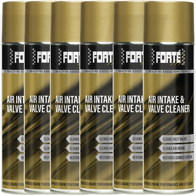 Forte Air Intake & Valve Cleaner 500ML QTY 6 - Clean Air Intake, Valves ...