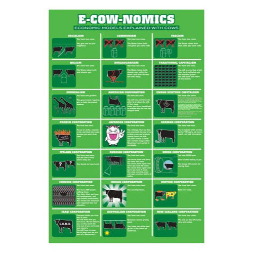 E Cow Nomics POSTER 61x91cm NEW * Economic Models Explained With Cows ...