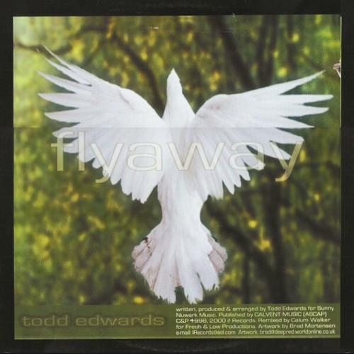 Todd Edwards Fly Away 12" Vinyl Schallplatte 229242 | eBay.de
