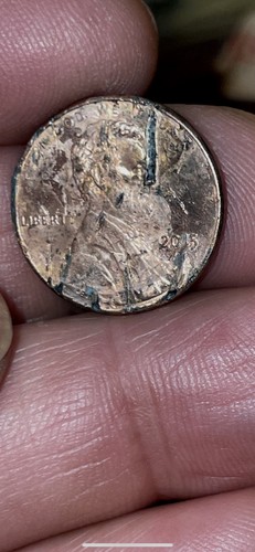 2015 Error Penny | eBay