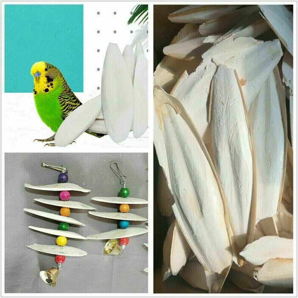 20 PCS Cuttlebone for Birds Parrot Chewing Cuttle Bone for Sharp Beaks ...
