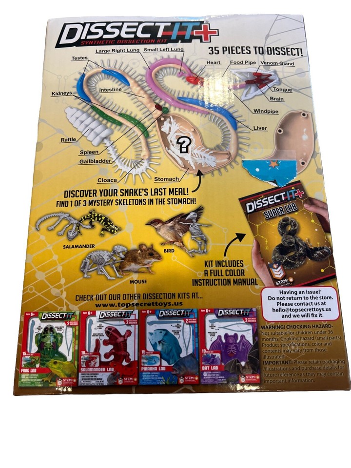Top Secret Toys Dissect It: A Synthetic Rattlesnake Dissection Kit ...