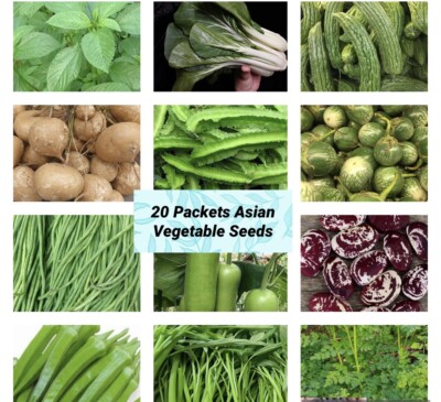 20 Packets- Asian Vegetable SEEDS- DesciptionFor Complete List. USA ...