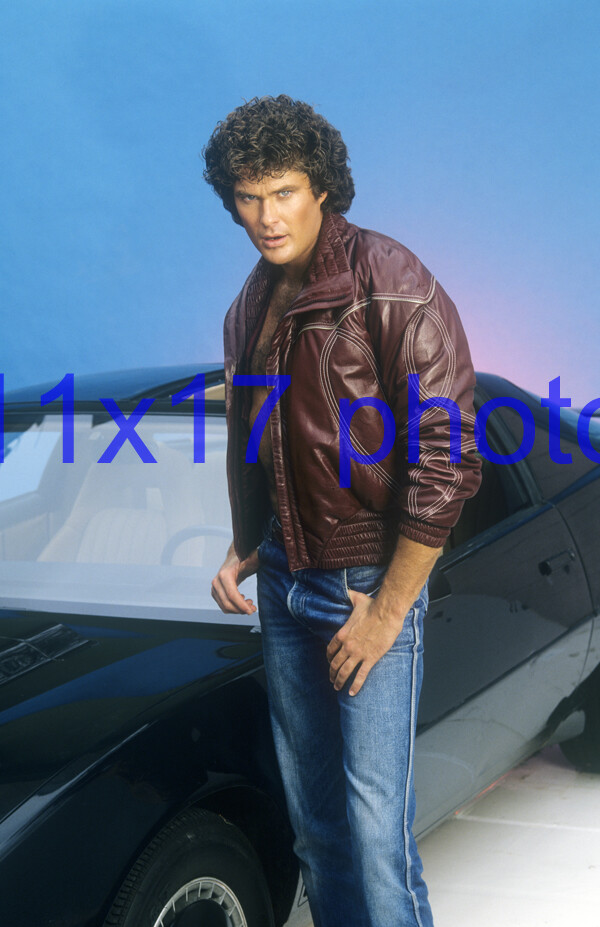 #3422,DAVID HASSELHOFF,baywatch,knight rider,11X17 POSTER PHOTO | eBay
