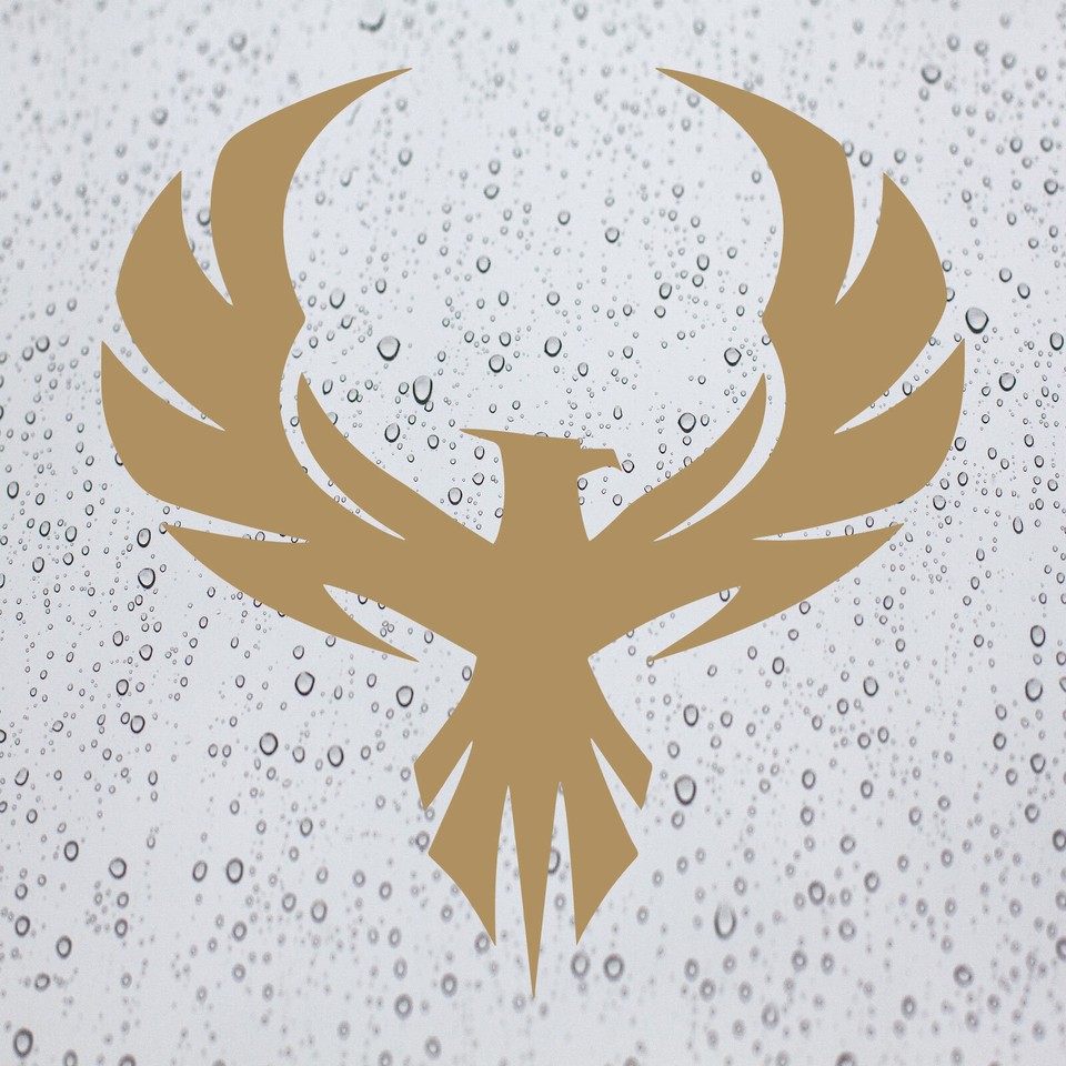 PHOENIX BIRD RISING Decal Vinyl Sticker for Car Bumper Window Door ...
