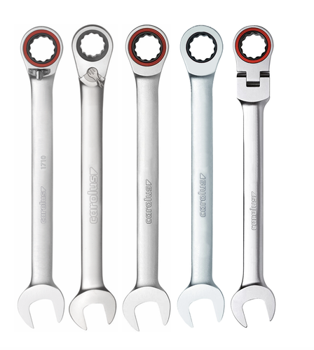 Carolus by GEDORE Ringratschenschlüssel Satz 8-36mm Maulschlüssel ...