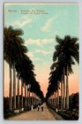 Vintage Cuba Postcard Habana Avenida De Palmas Royal Palms Avenue ...