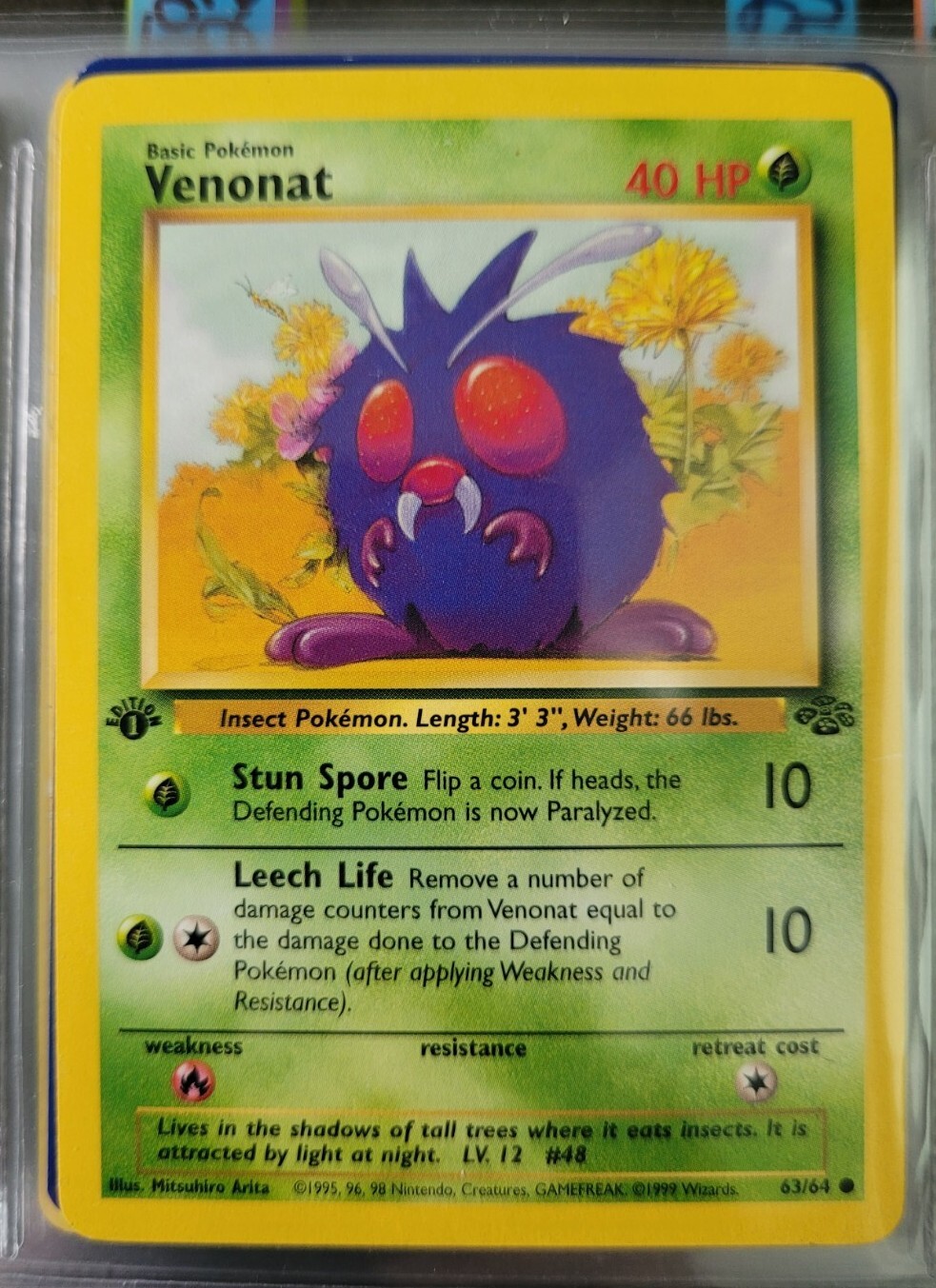 Pokemon Card Venonat 1ST EDITION 63/64 Jungle - LP Condition | eBay