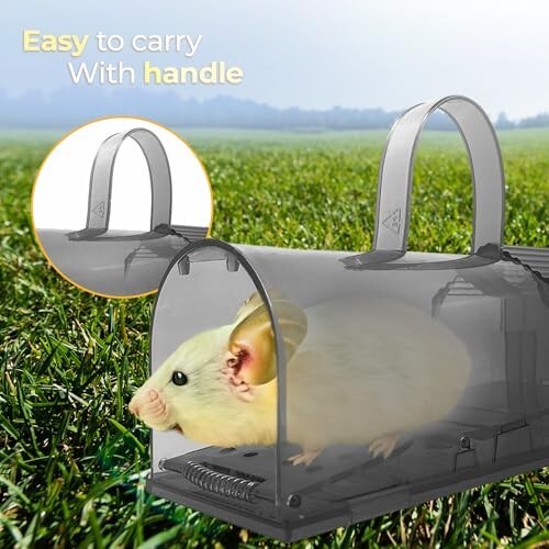 Humane Mouse Trap | Catch and Release Small Traps / Indoor-Outdoor Pack ...