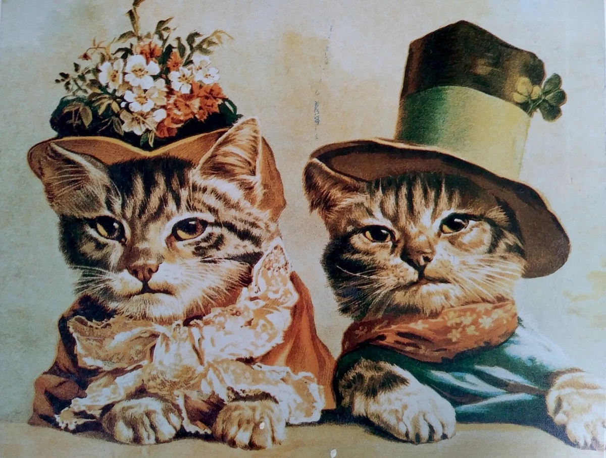 Cats In Top Hats