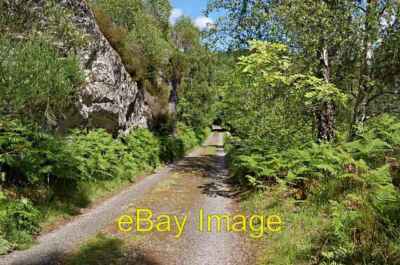 Photo 6x4 Highland road Inverfarigaig This is one of the better ...