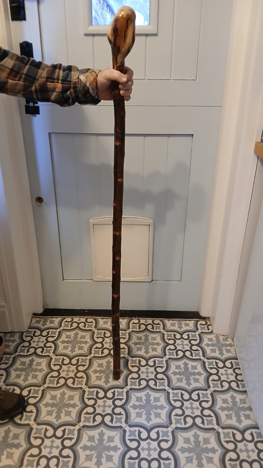 Blackthorn shillelagh walking stick | eBay UK