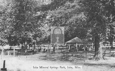 Iuka Mineral Springs Park Mississippi MS - 8.5x11 Print | eBay