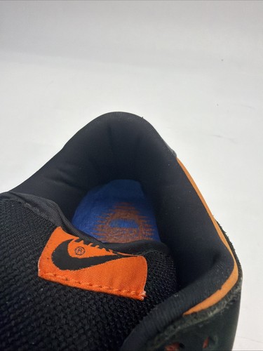 Size 8.5 - Nike Dunk Low Orange Flash/Black 304292-801 Orange Box 2002 ...