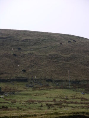 Photo 6x4 Boundary of "Danger Area" Holcombe Ramsbottom The posts mark ...