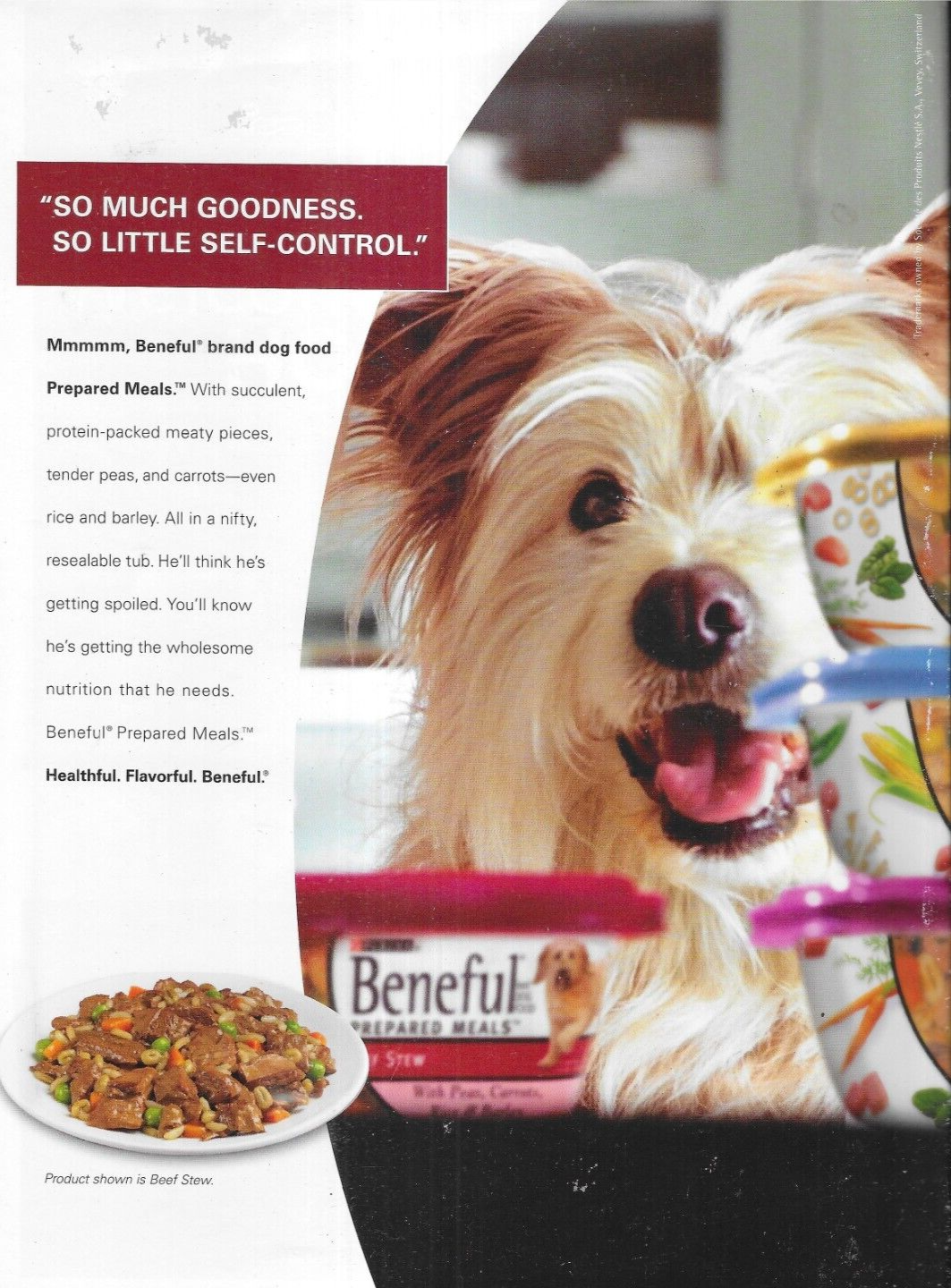Cesar's Way Dog Magazine The Gift Of Giving Training Puppy Secrets Day ...
