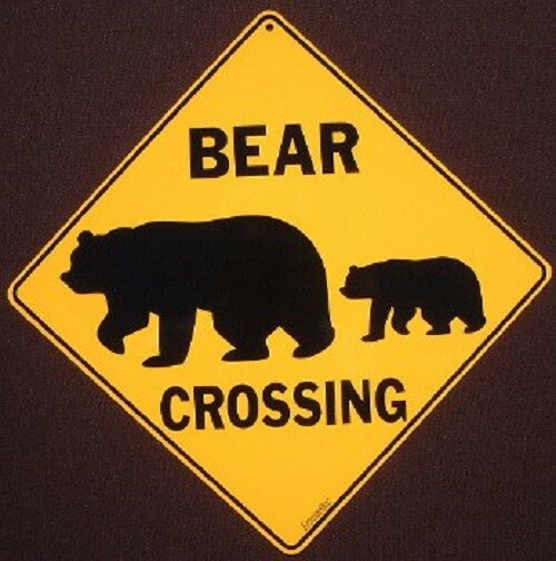 Bear Crossing Sign