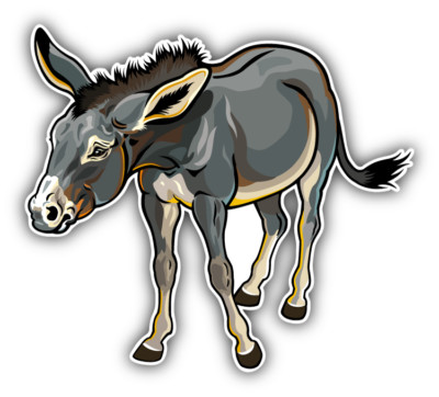 Donkey Car Bumper Sticker Decal - ''SIZES'' | eBay