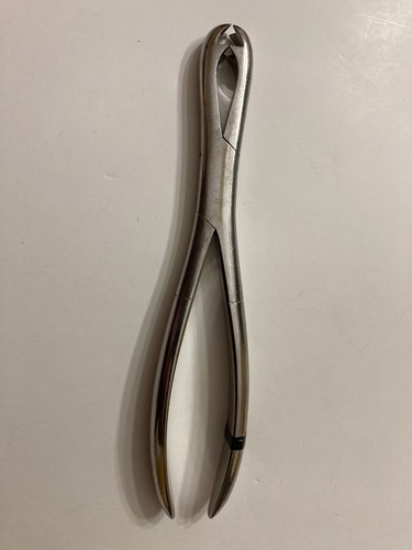 Fergusson Bone Holding Forceps Orthopedic Instrument OR-1-61 | eBay