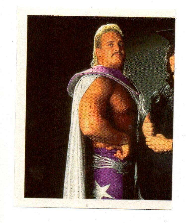 Beverly Brothers Genius WWF Merlin Sticker Trading Card Wrestling WWE ...