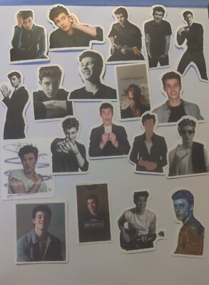 19 PCs SHAWN MENDES Stickers~Treat You Better~Mercy, Bad Reputation ...
