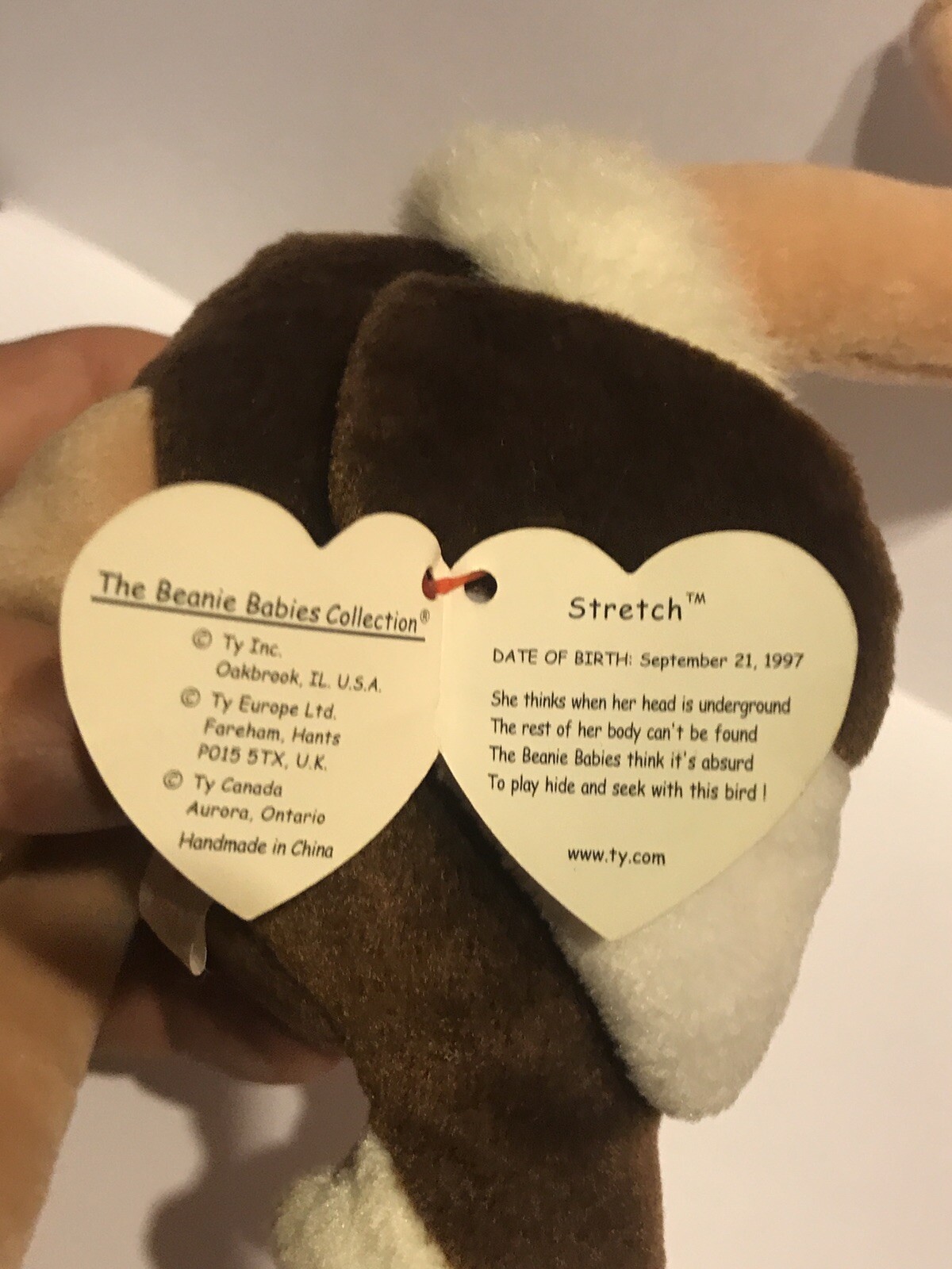 TY Beanie Baby – STRETCH the Ostrich (6.5 in) for sale online | eBay